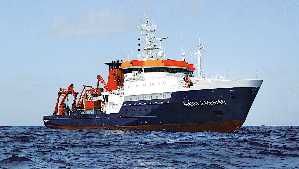 JellyWeb Madeira - Challenger 150